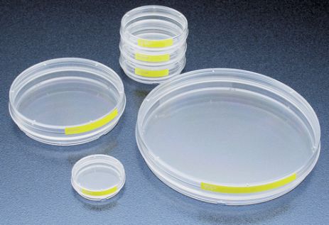 TPP Tissue Culture Dishes 60x15mm 4 Sealed Packs of 14 (56 plates tota ...